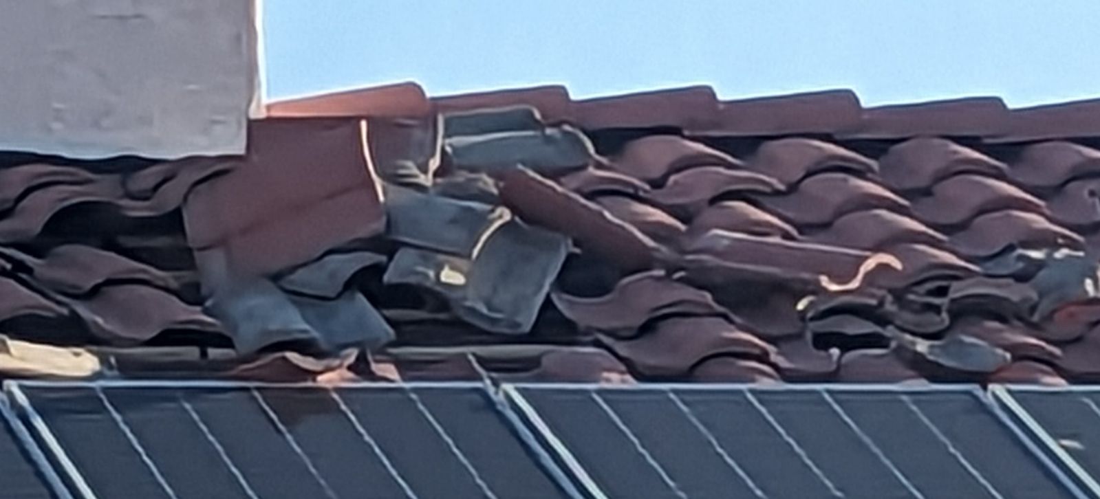 Sunrun Inc. solar reviews, complaints, address & solar panels cost