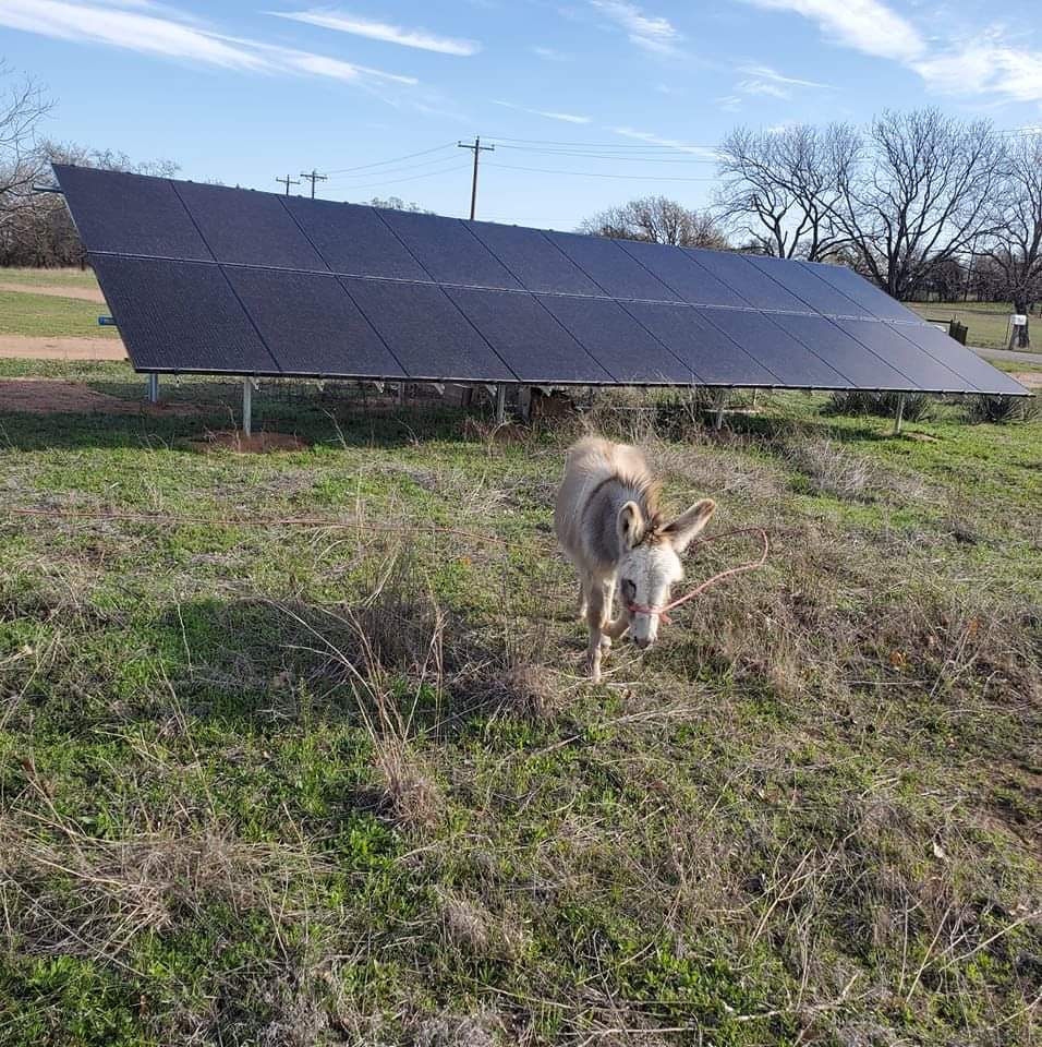 Suntria solar reviews, complaints, address & solar panels cost